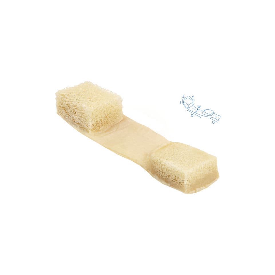 Protesi di legamento legamento rotuleo - 890 - Bone Bank Allografts ...