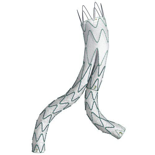 Innesto stent aorta addominale - LINUS® - Braile Biomedica - in nitinol