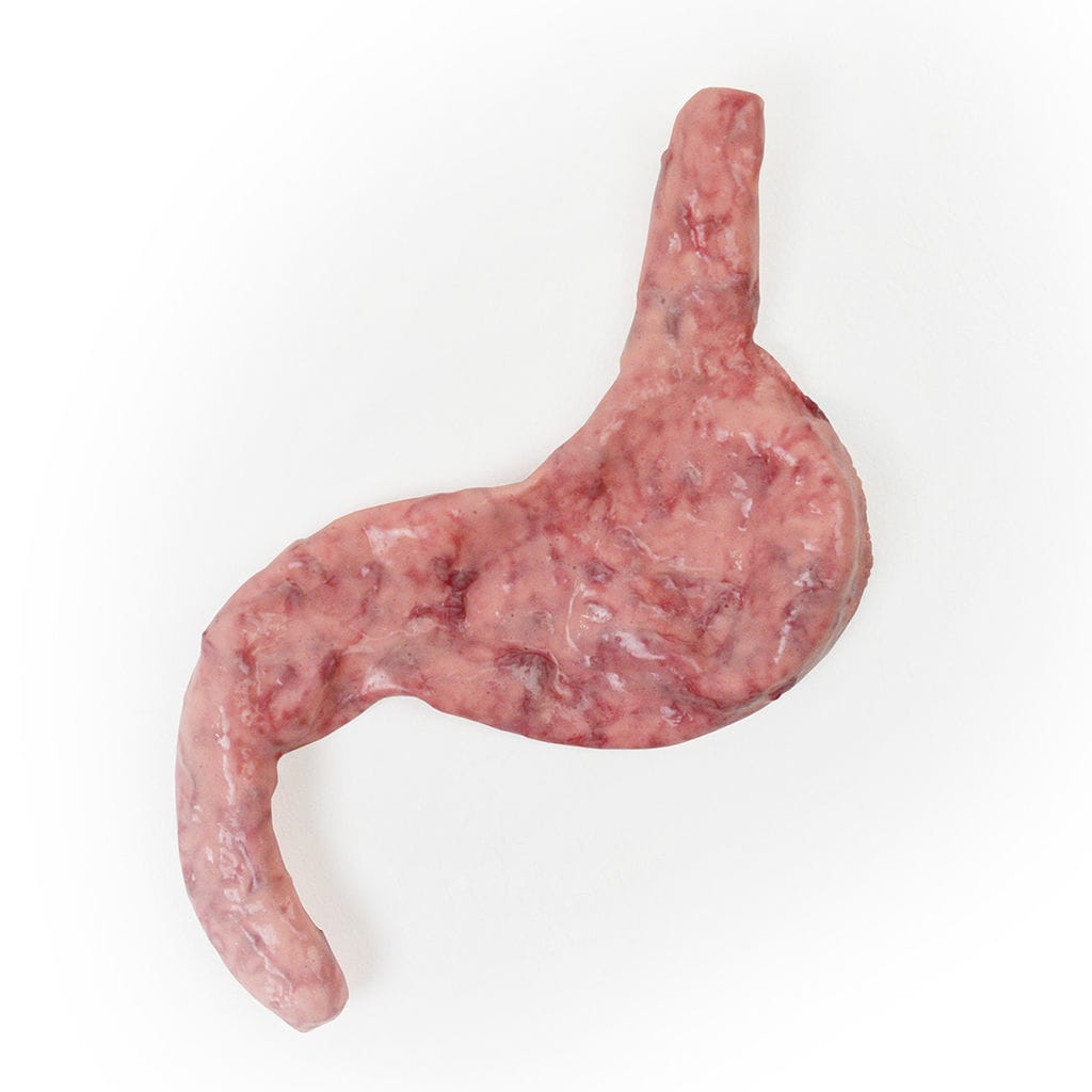 Modello anatomico cardiaco - 130510 - SynDaver Labs - di muscolo / di ...