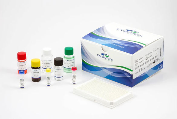 Kit di reagenti di AFP - AF237T - Calbiotech - in soluzione / da ...
