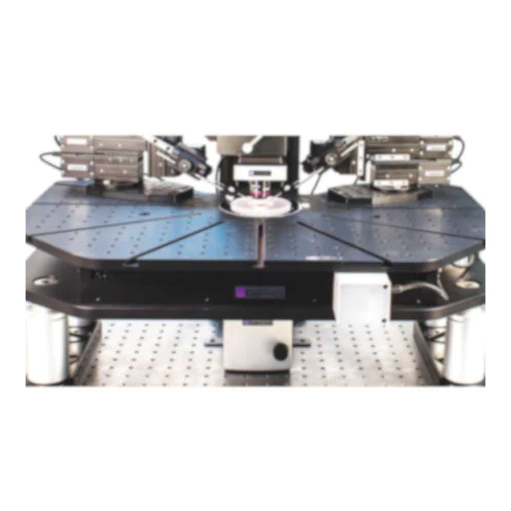 Tavola di guida per microscopio - MMTP - Scientifica - manuale / di ...