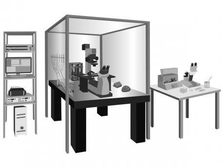 Sistema patch-clamp automatico - Multi Channel Systems