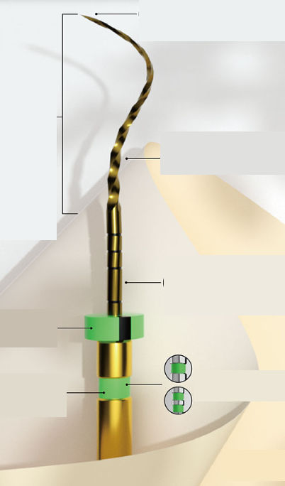 Punta odontoiatrica - E-FLEX GOLD - Changzhou Sifary Medical Technology ...