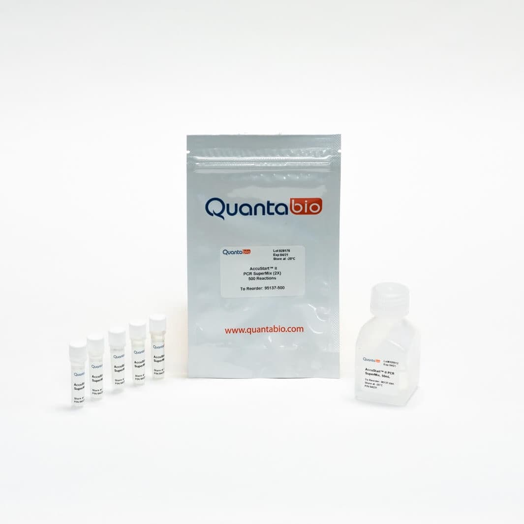 Kit di reagenti DNA polimerasi - AccuStart II SuperMix - QuantaBio ...
