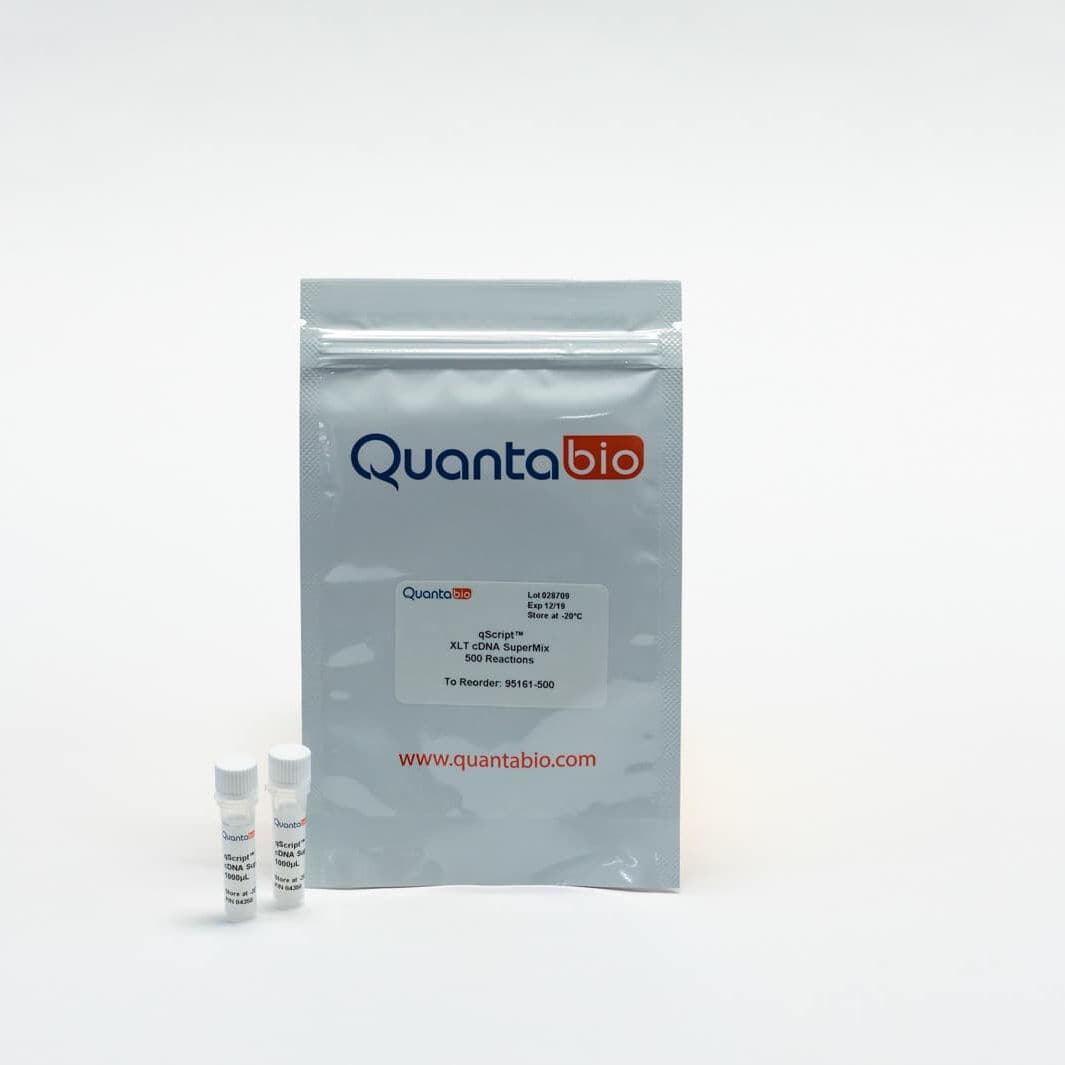 Kit di reagenti in soluzione - qScript XLT SuperMix - QuantaBio - transcrittasi inversa / per RT ...