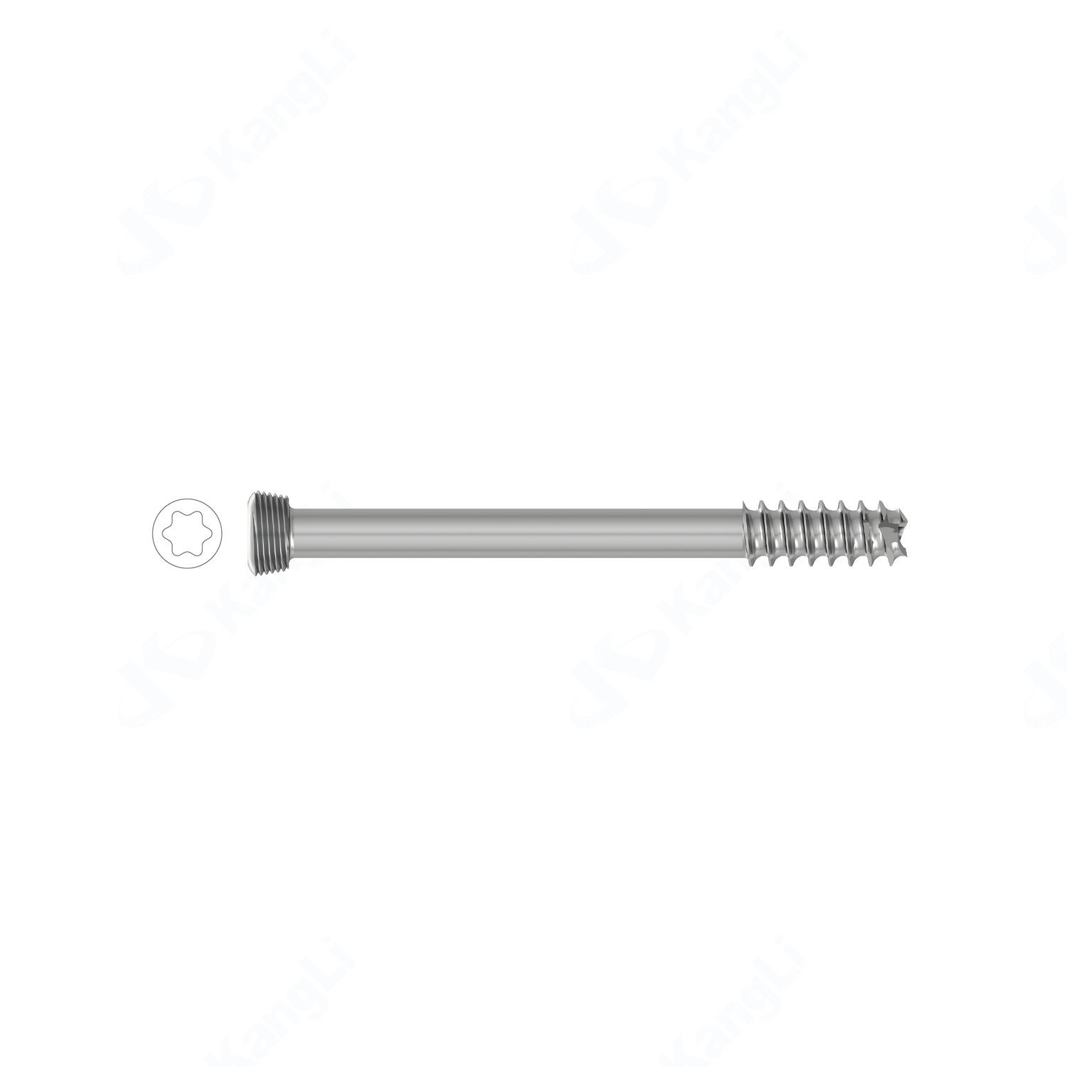 Vite per impianto dentale in titanio - T48020 - Kangli Medical