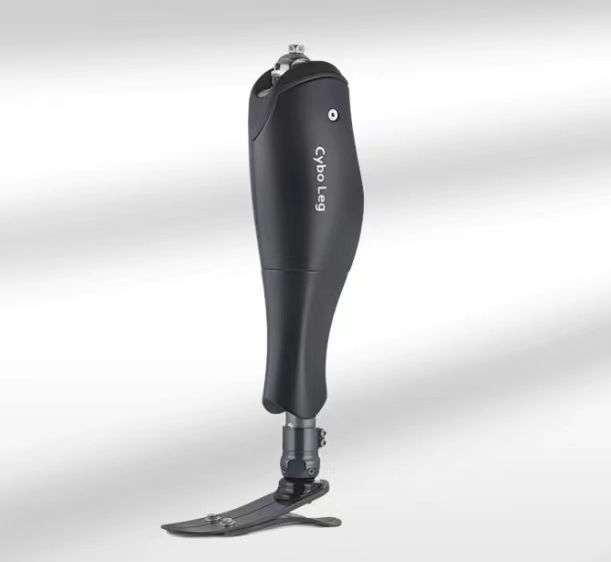Protesi esterna di gamba controllata tramite microprocessore - Ortocare ...