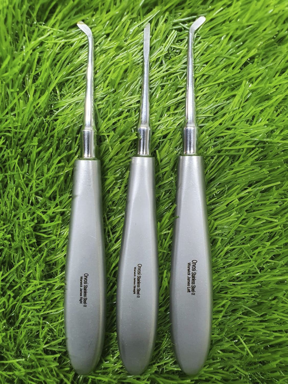 Leva lussatrice dentale dritta - Orvosi instruments - per adulti / per ...
