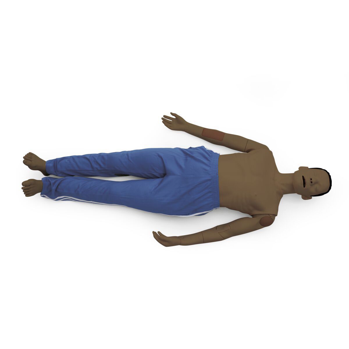 Simulatore per iniezioni endovenose - Atlas - 3B Scientific - di DAE ...