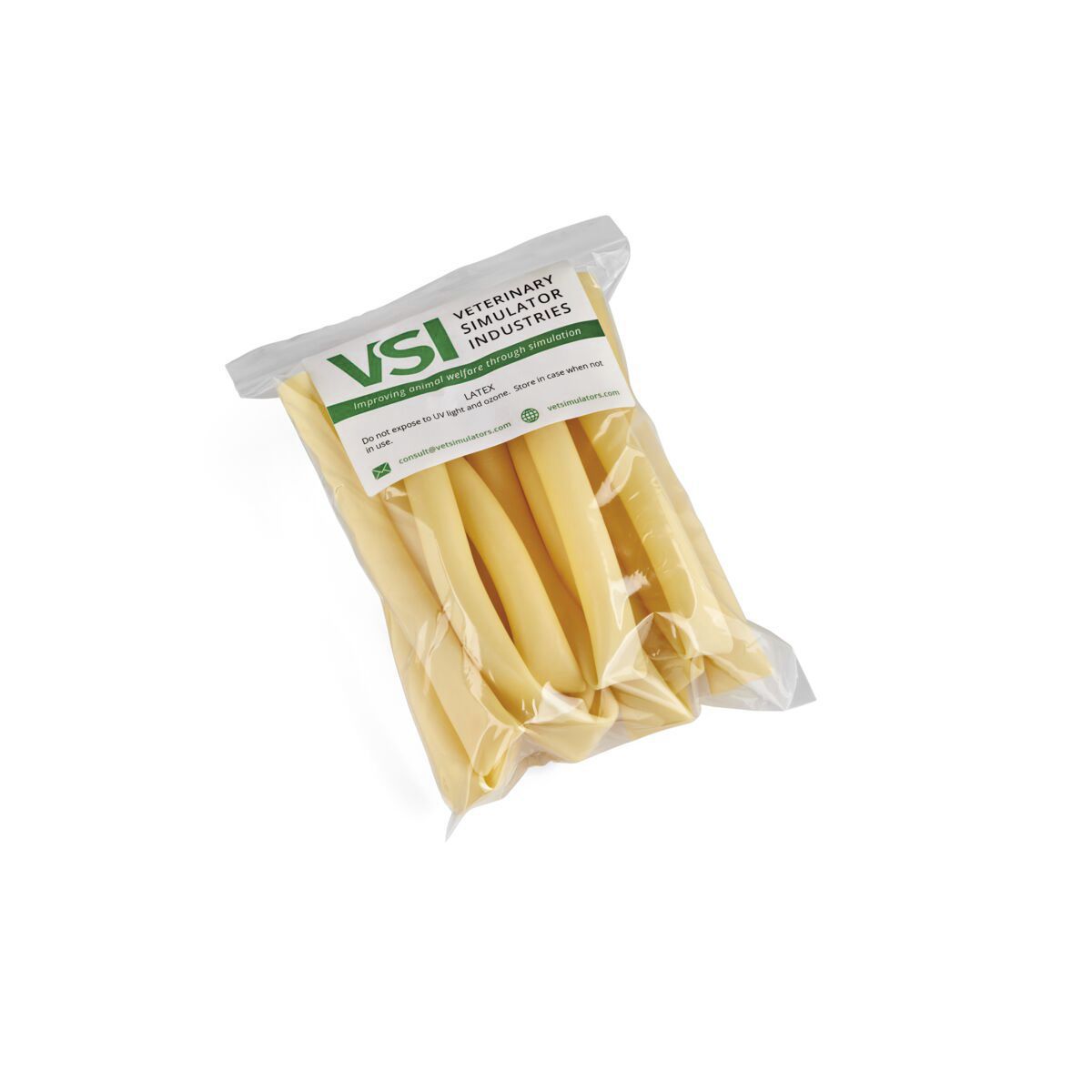 Modello anatomico di vena - 1025546 - 3B Scientific - veterinario / per ...