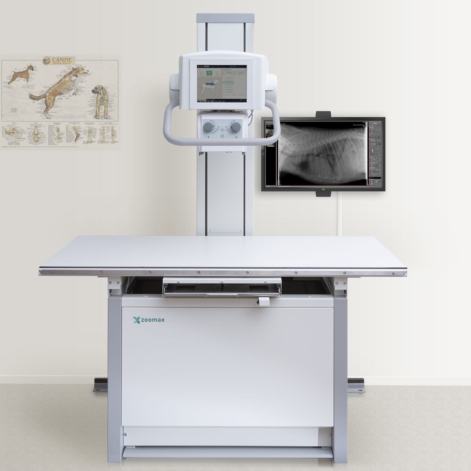 Sistema di radiografia veterinaria - Zoomax White - CONTROL-X Medical ...