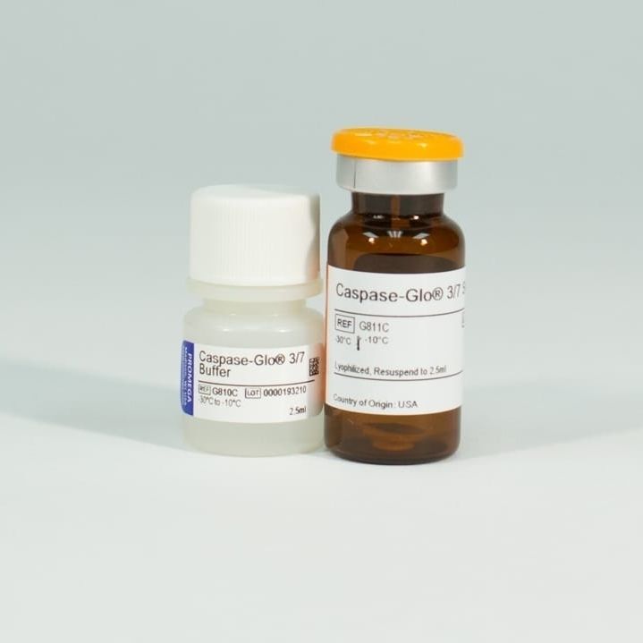 Kit di test per ricerca medica - Caspase-Glo® 3/7 - Promega France ...