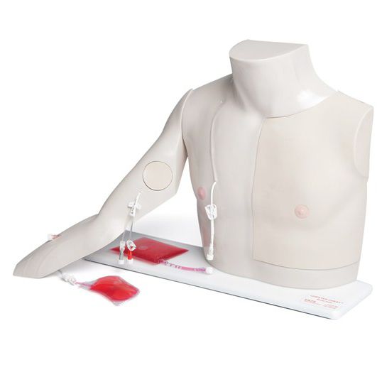 Simulatore di paziente per accesso vascolare venoso - Chester - Laerdal ...