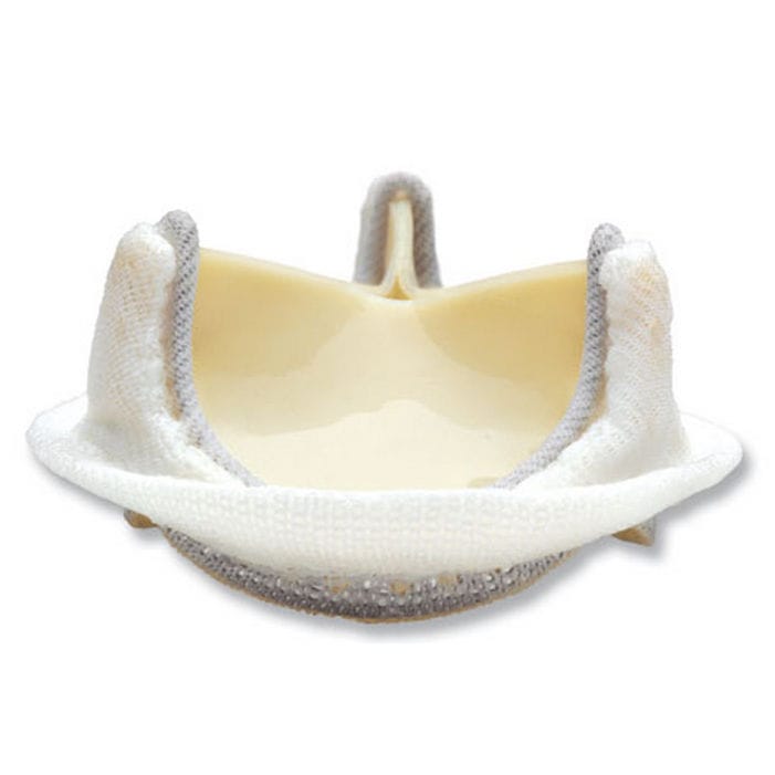 Bioprotesi valvolare aortica - PERIMOUNT - Edwards Lifesciences - in ...