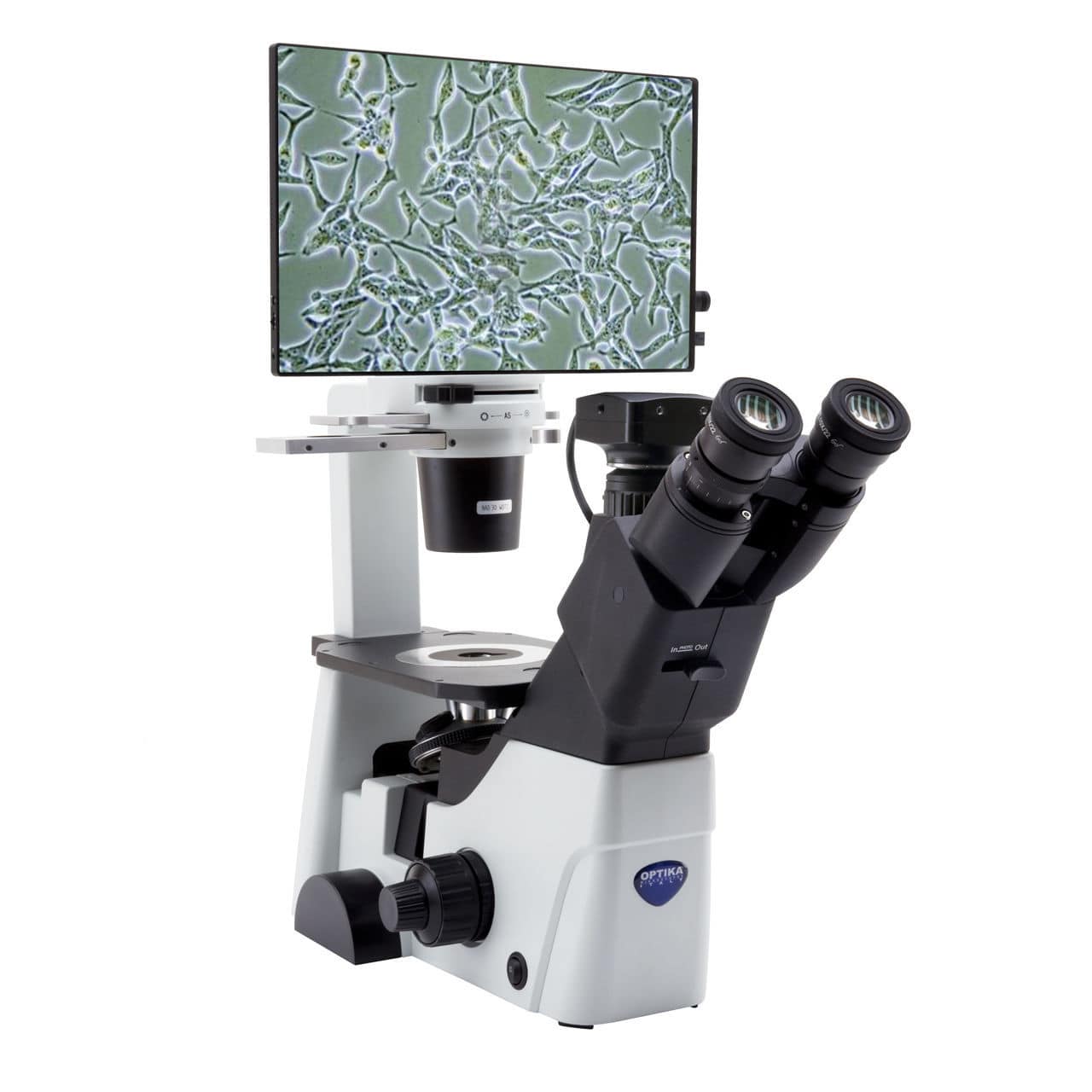 Microscopio ottico - IM-300D - Optika Italy - digitale / da laboratorio ...