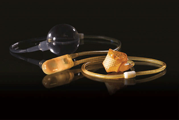 Protesi di sfintere vesicale - AMS 800™ - American Medical Systems ...