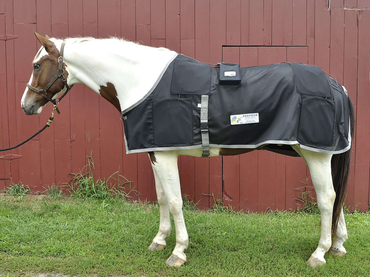 Unità di magnetoterapia per equini - Bio-Pulse™ Sentry - Respond ...