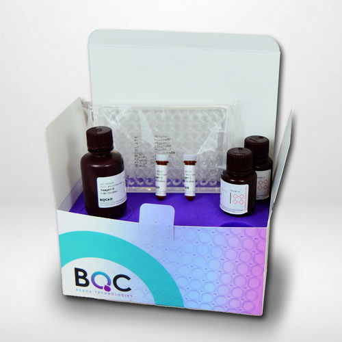 Kit di test ORAC - KF1004 - Bioquochem - per chimica clinica / di ...