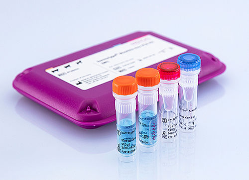 Kit di test per mastite - bactotype - INDICAL BIOSCIENCE - per malattie ...